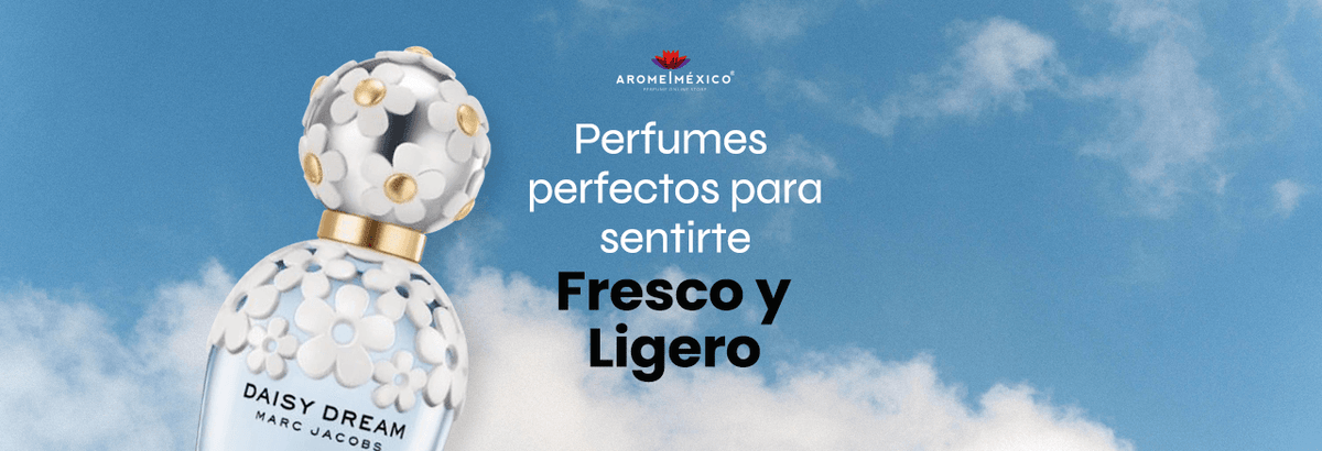 Perfumes Perfectos para Sentirte Fresco y Ligero – Arome México