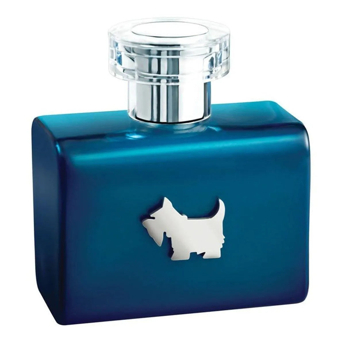 Perfume Ferrioni Blue Terrier para Hombre – Arome México